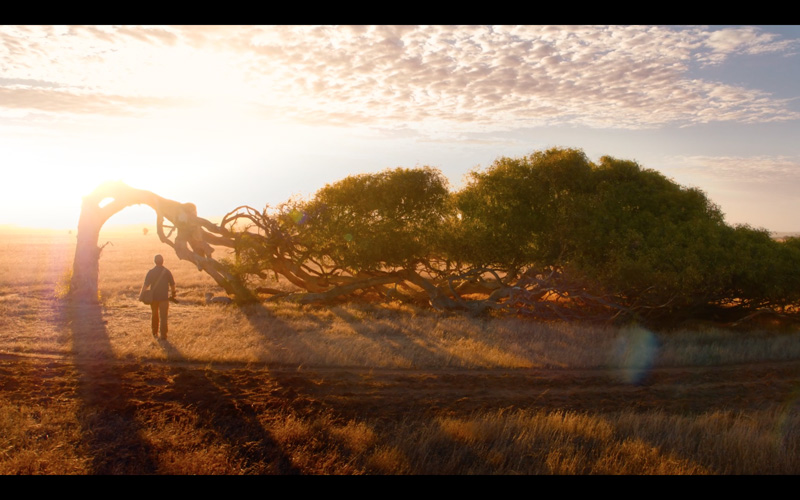 Best Ad (TVC or Digital) - Asian Academy Creative Awards